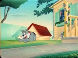 Tom a Jerry - Všetky triky - rozprávka | Rozpravky.sk