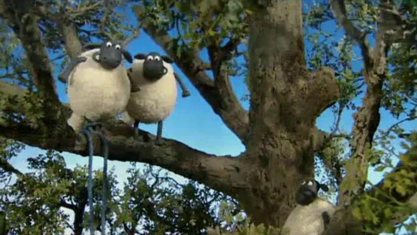 Ovečka Shaun - Putty - pohádka | animaky.cz